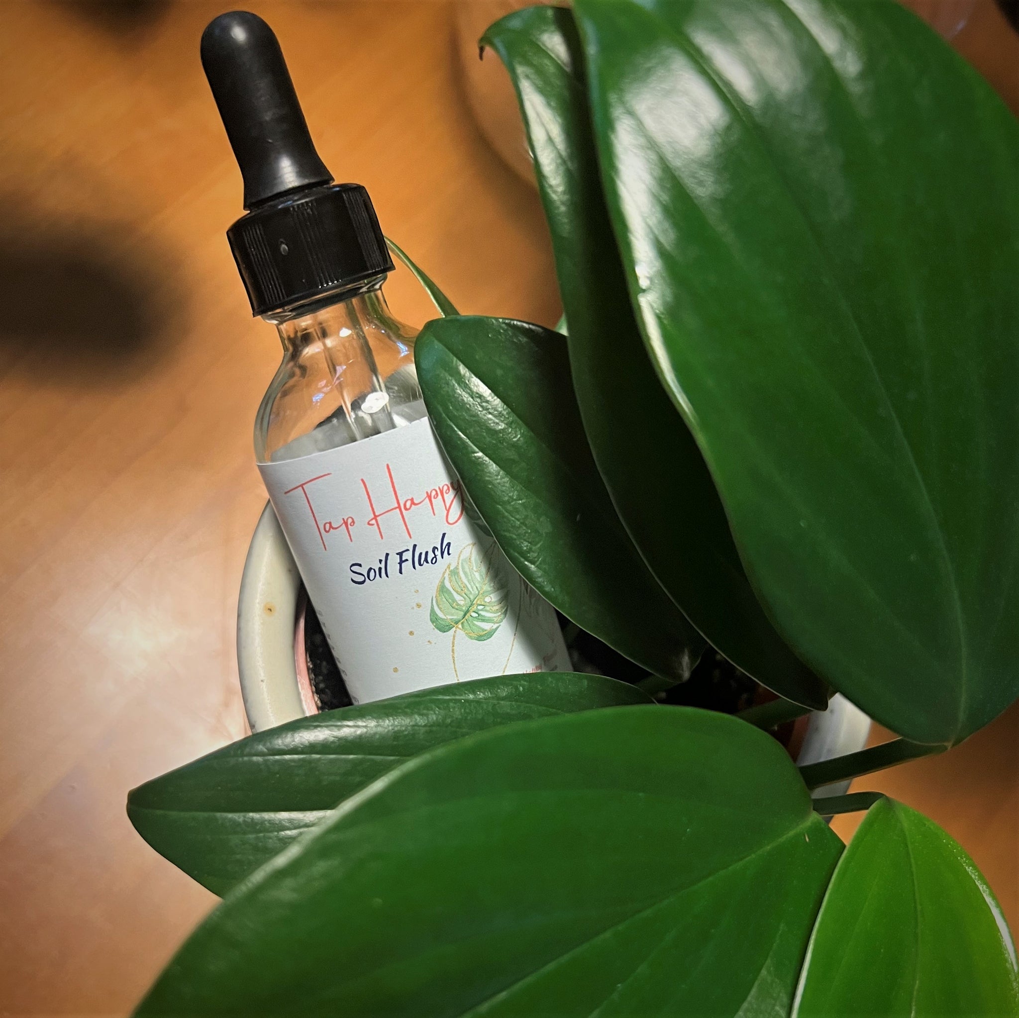 Tap Happy Soil Flush – Oh Happy Plants!